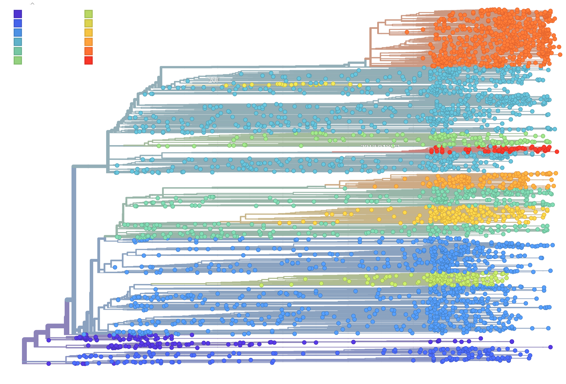 The Plasticity of SAR-CoV-2 - Beyond the Simple Nucleotide Polymorphism